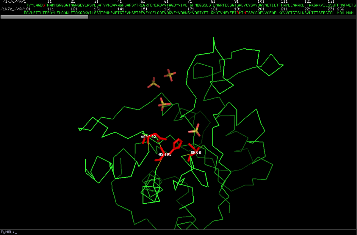 Protein Structure And Visualization Answers 22111